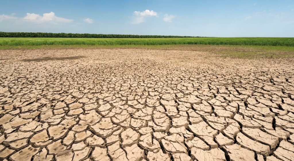 Etude de sol – Structure & Fondations